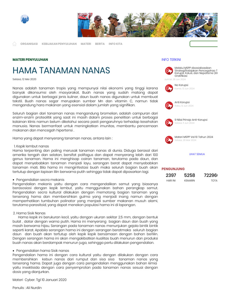 Hama Tanaman Nanas | PDF