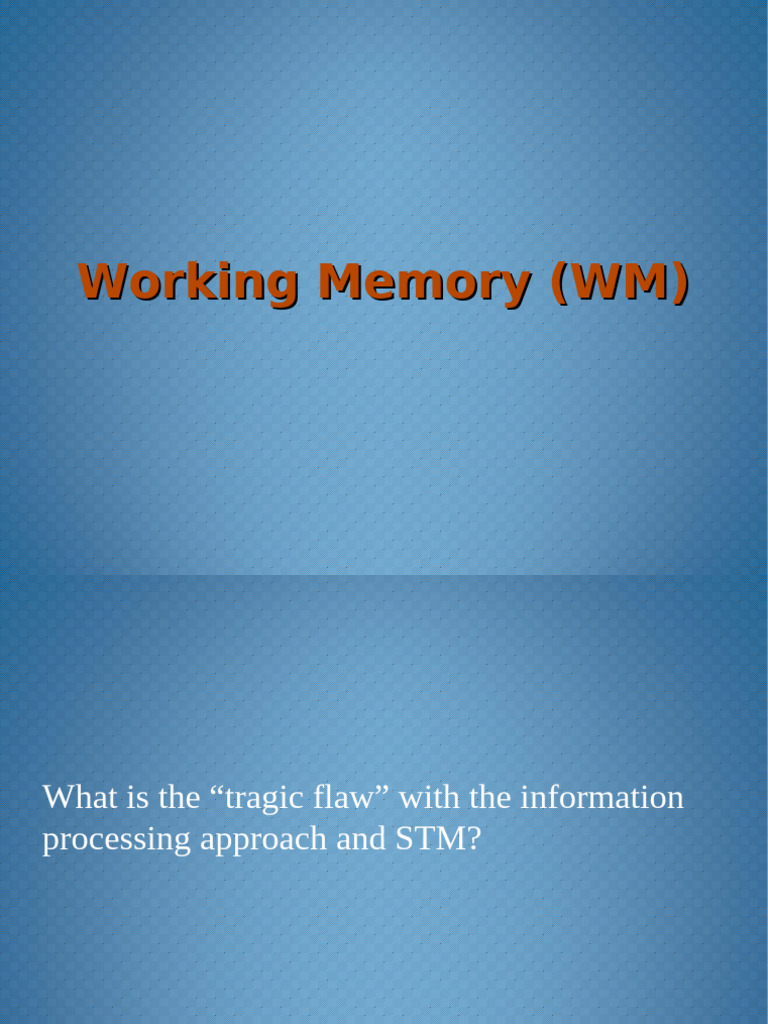 4 - Working Memory | PDF | Memory | Working Memory