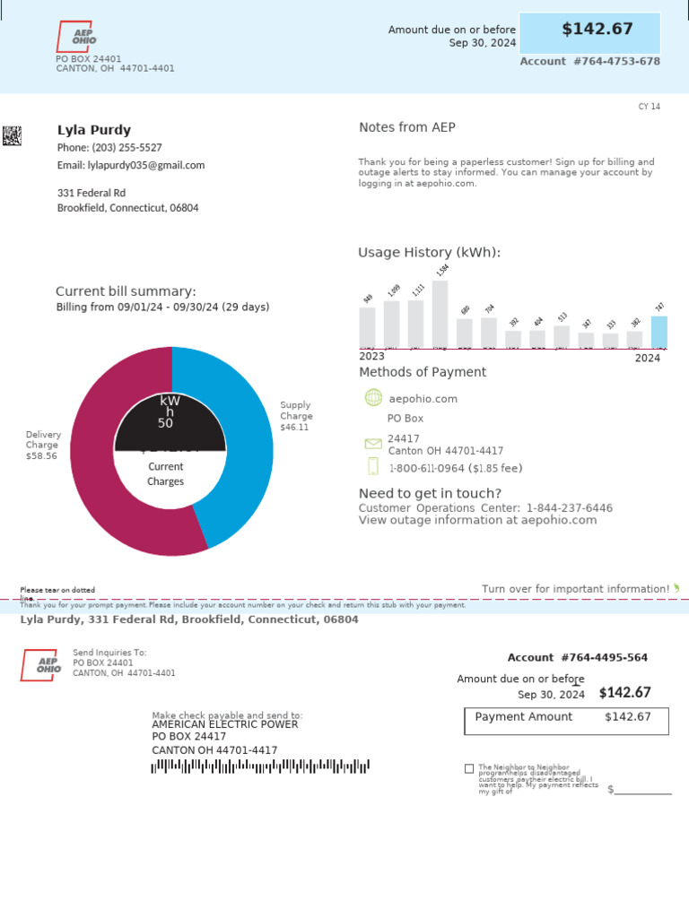 124 Lyla Purdy Utility Statement | PDF | Surety | Electric Power