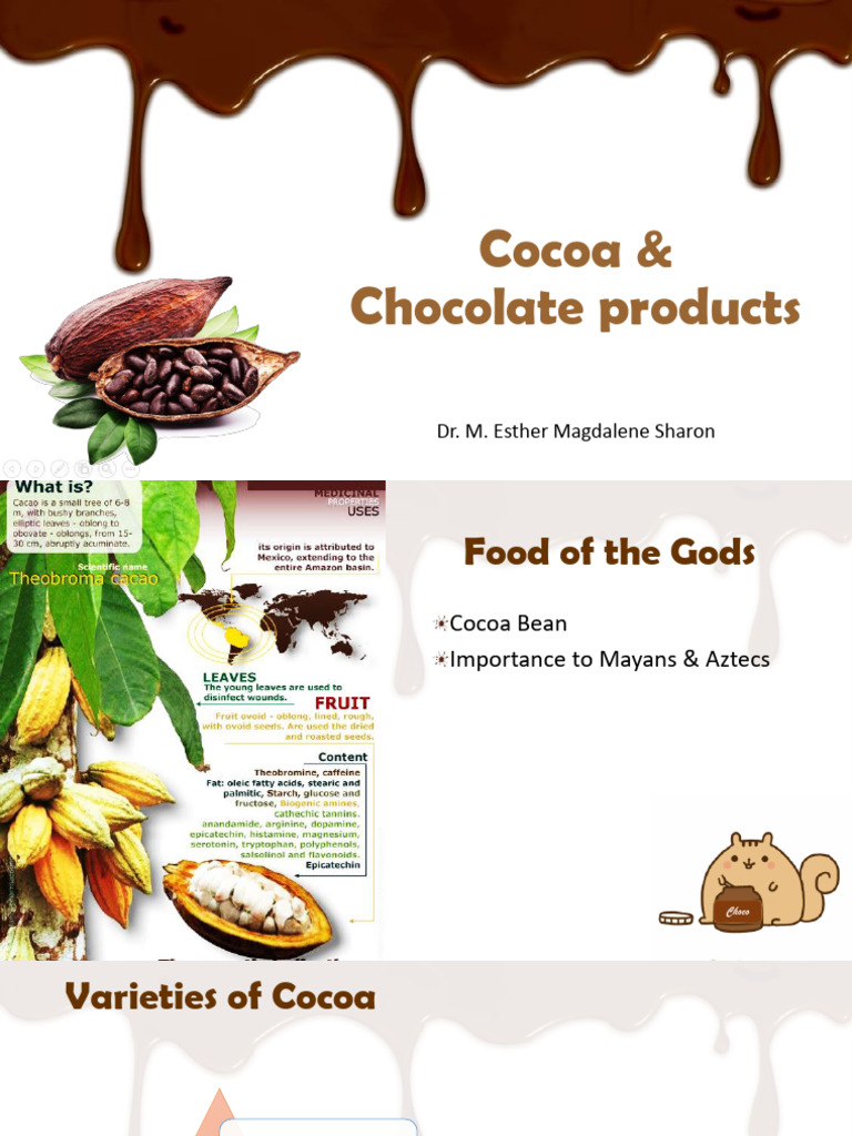 Cocoa Bean Processing and History Guide | PDF | Cocoa Solids | Chocolate