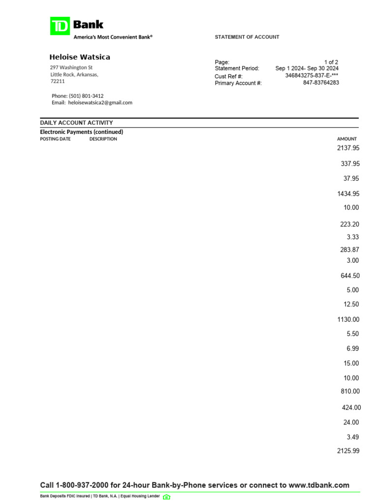Daily Account Activity Statement | PDF | Debit Card | Visa Inc.