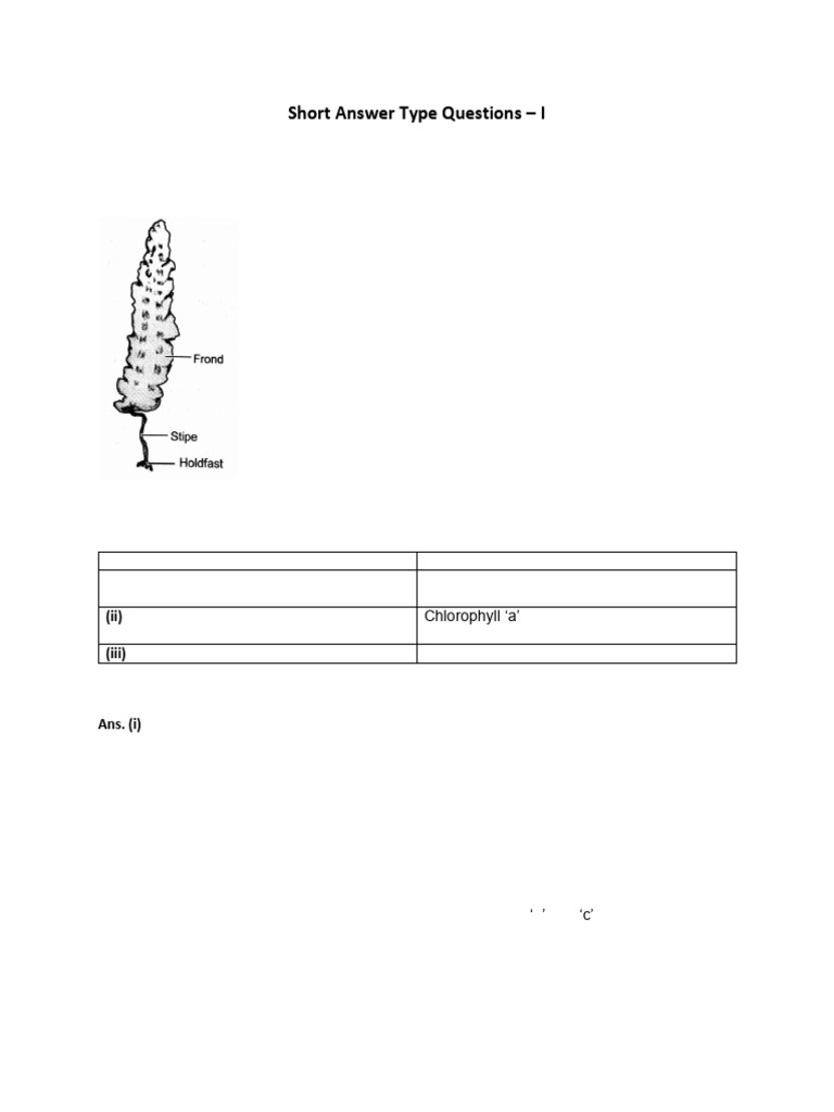 Chapter 3 Short 1 Biology - Class 11th | PDF | Algae | Moss
