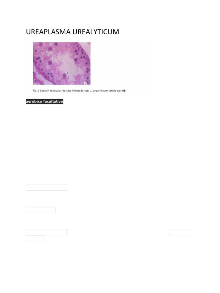 Ureaplasma Urealyticum | PDF