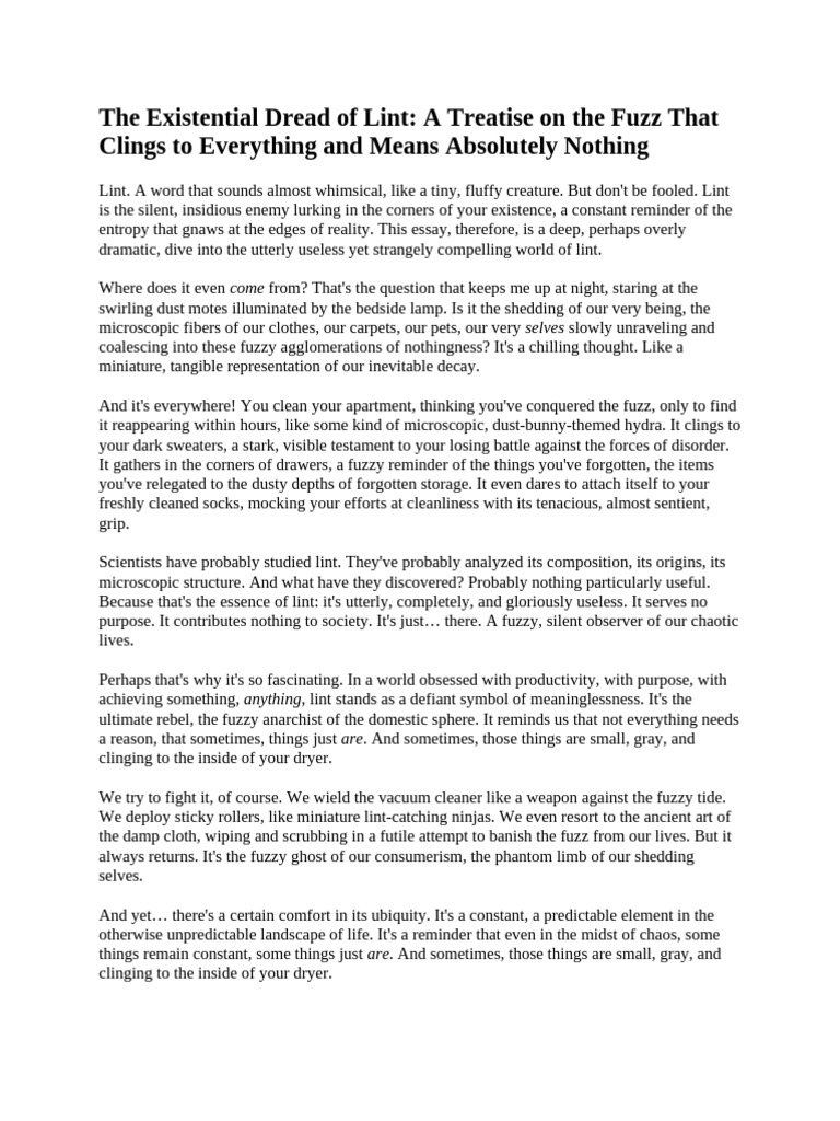 The Existential Dread of Lint | PDF