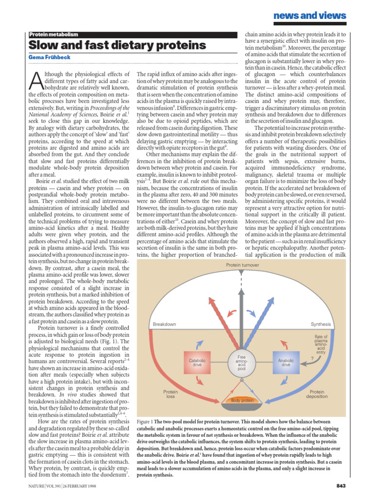 Slow and Fast Dietary Proteins | PDF | Synapse | Long Term Potentiation