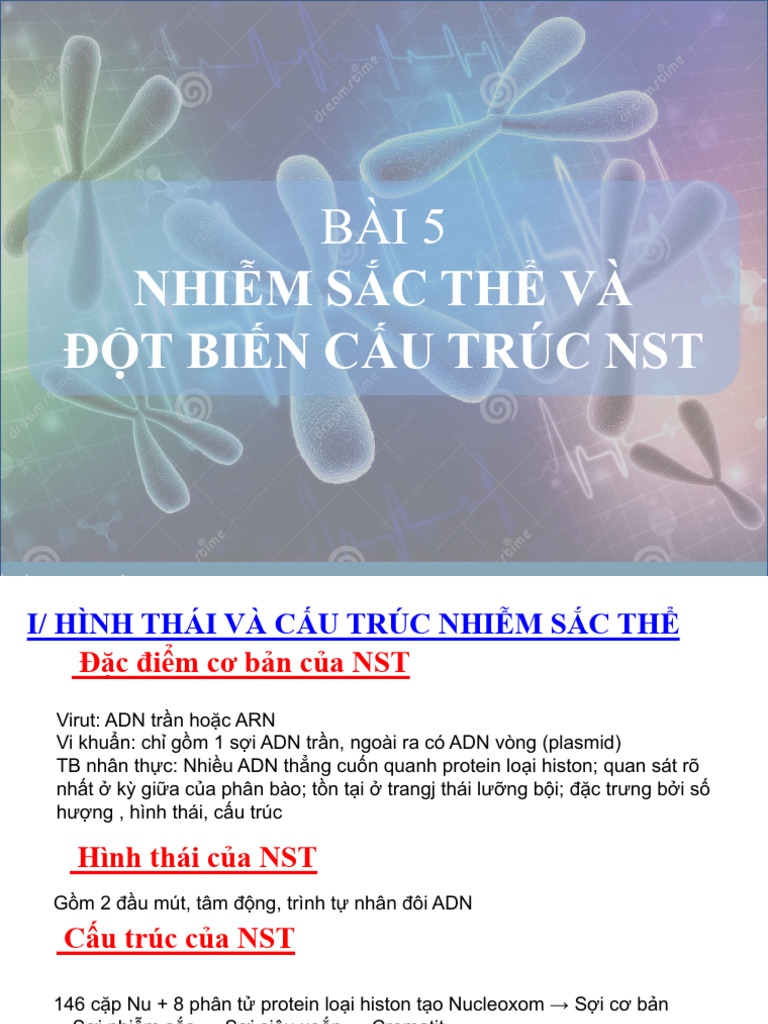 ghi bài 5 sinh 12 NST đột biến cấu trúc NST | PDF