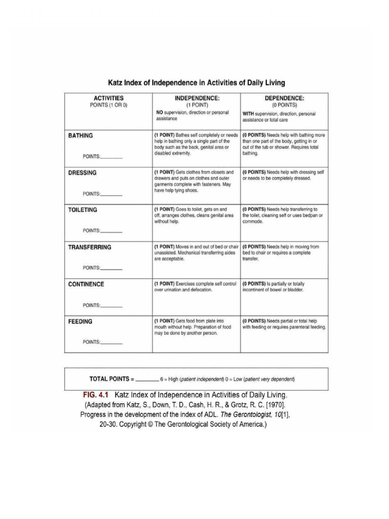 Assessment Tools Geria PDF Form | PDF