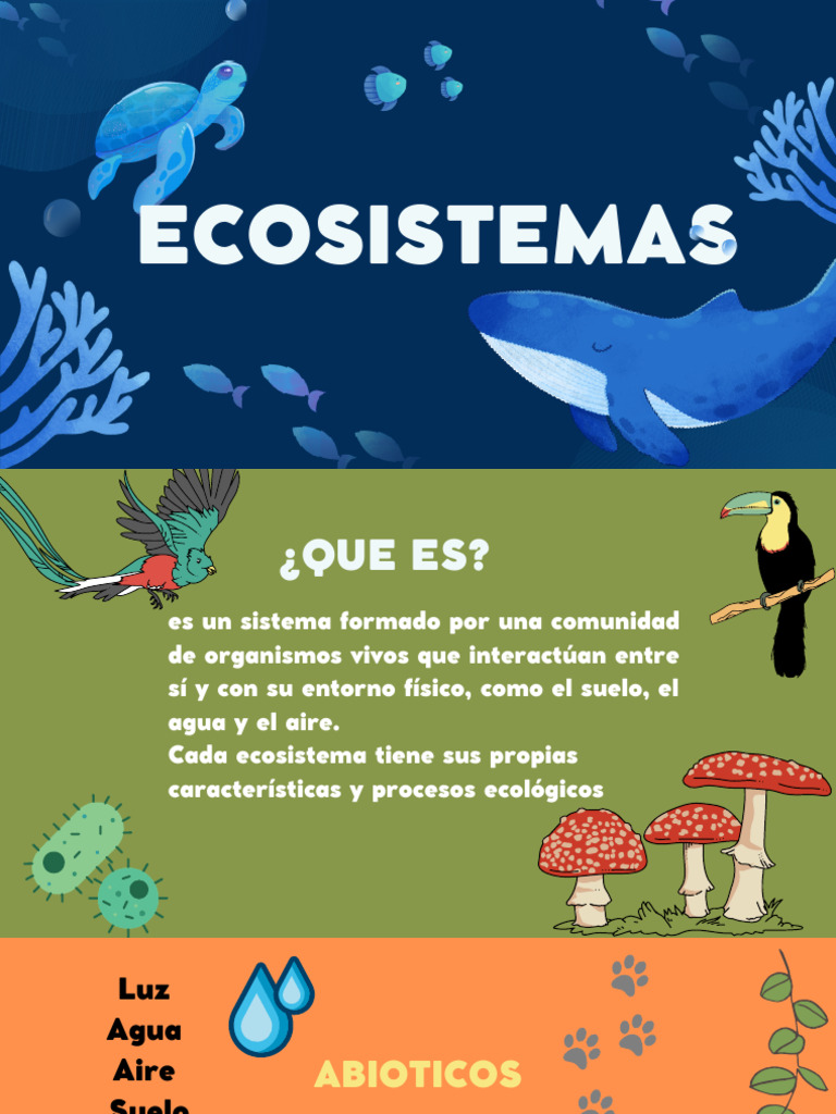 Ecosistemas PDF | PDF