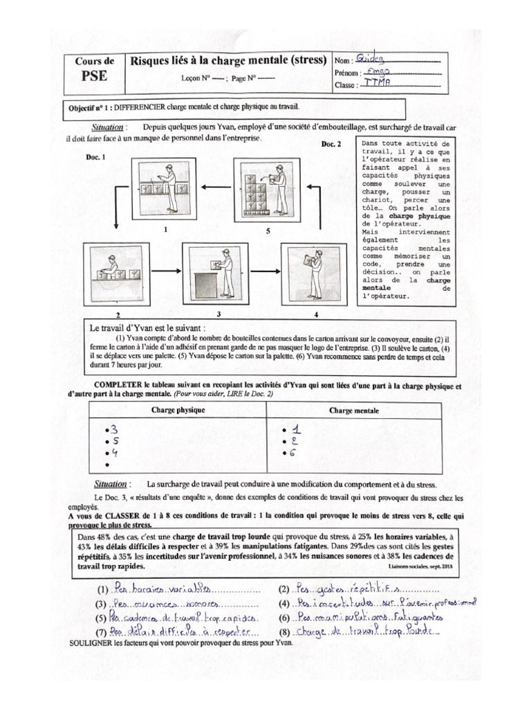Charge Mentale PSE | PDF