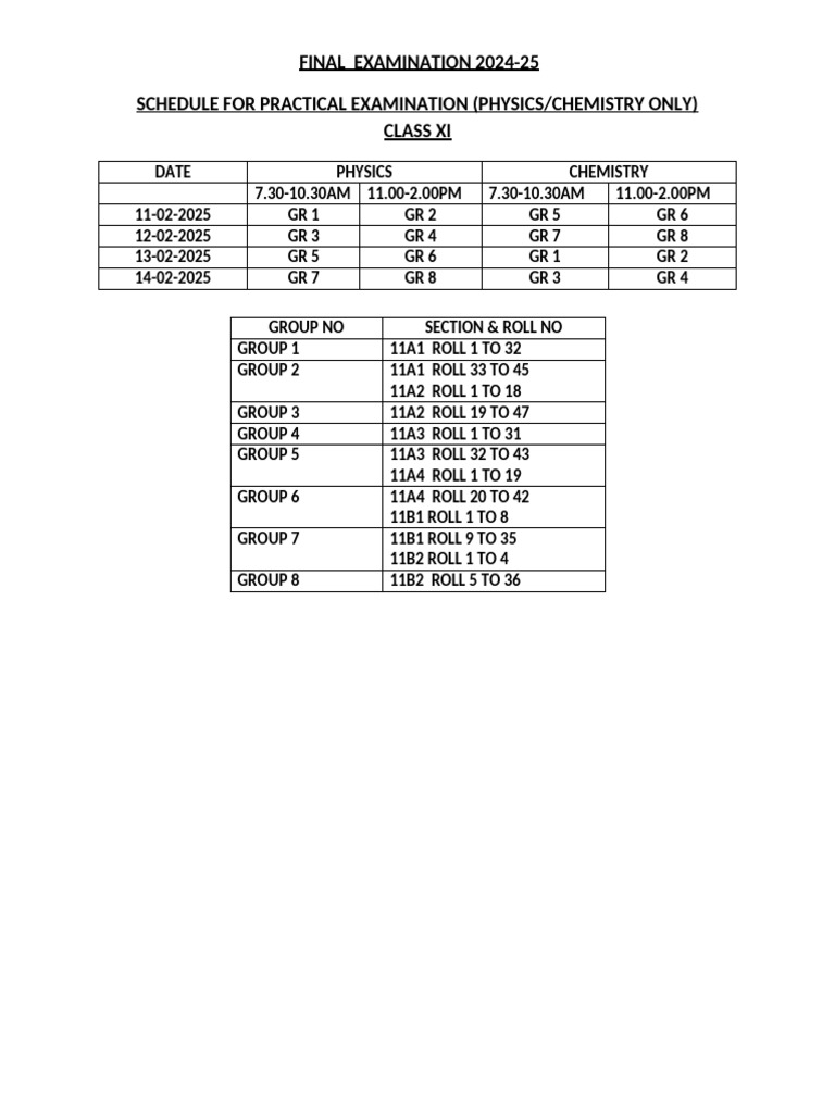 CLASS 11 FINAL PRAC GR 2025 (3) | PDF