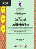 Lis Coordinator Designation | PDF | Computing