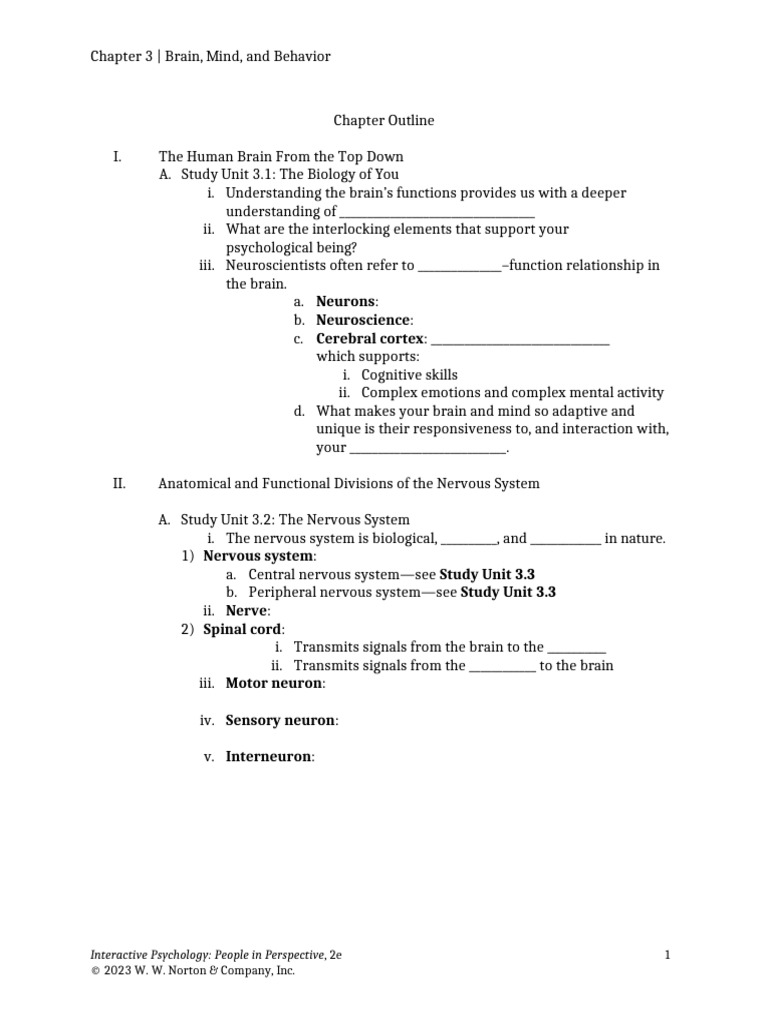 CH 3 Outline With Blanks | PDF | Neurotransmitter | Action Potential