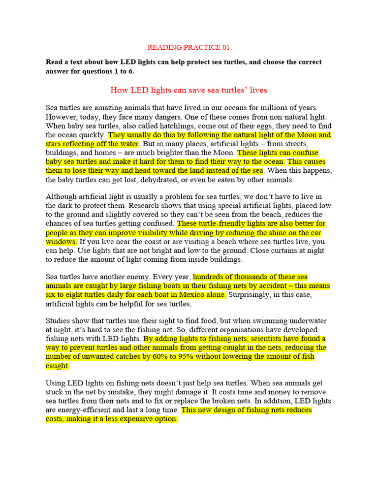 Reading Practice 01 Ta2 | PDF | Sea | Sea Turtle