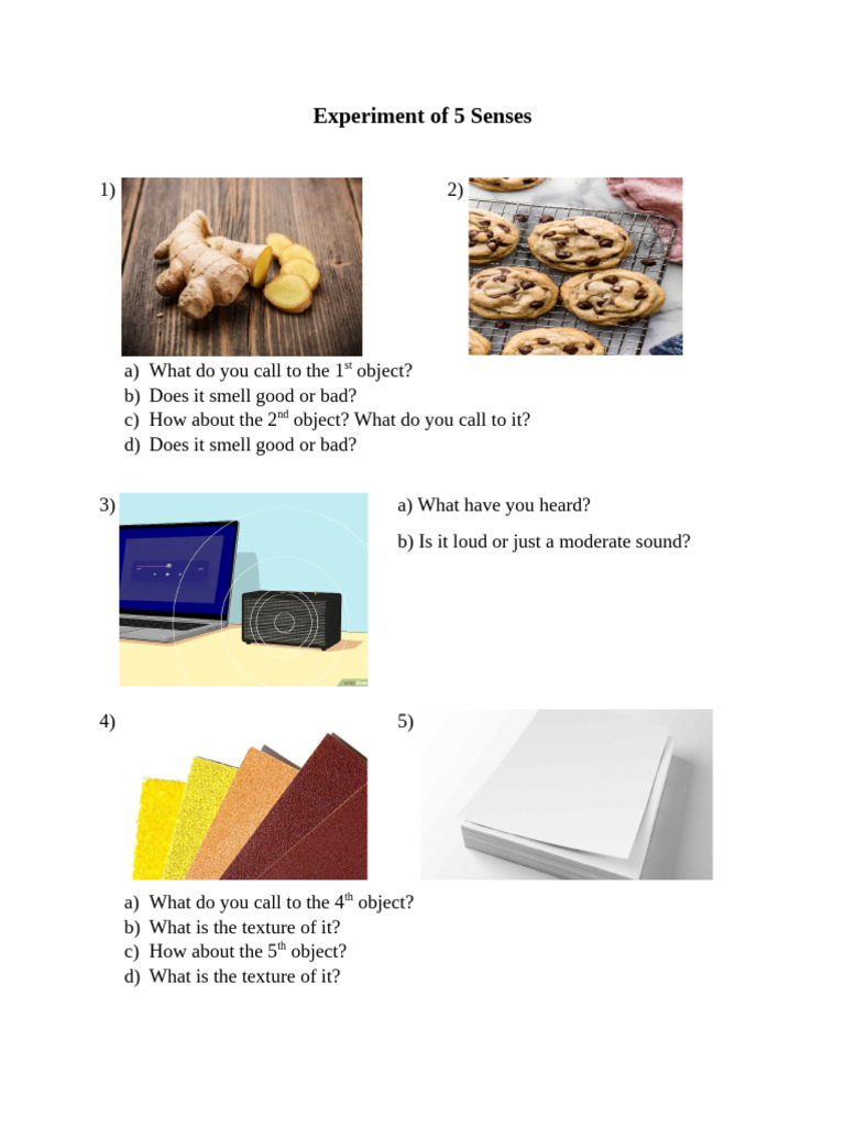 Experiment of 5 Senses | PDF