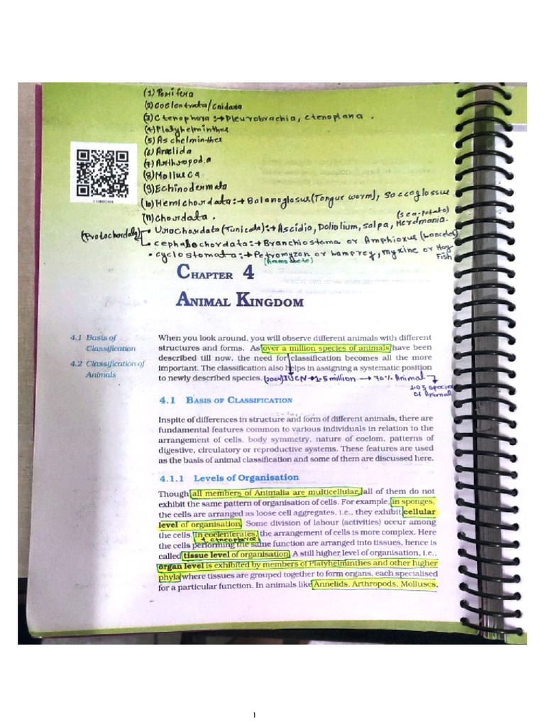 Animal Kingdom | PDF