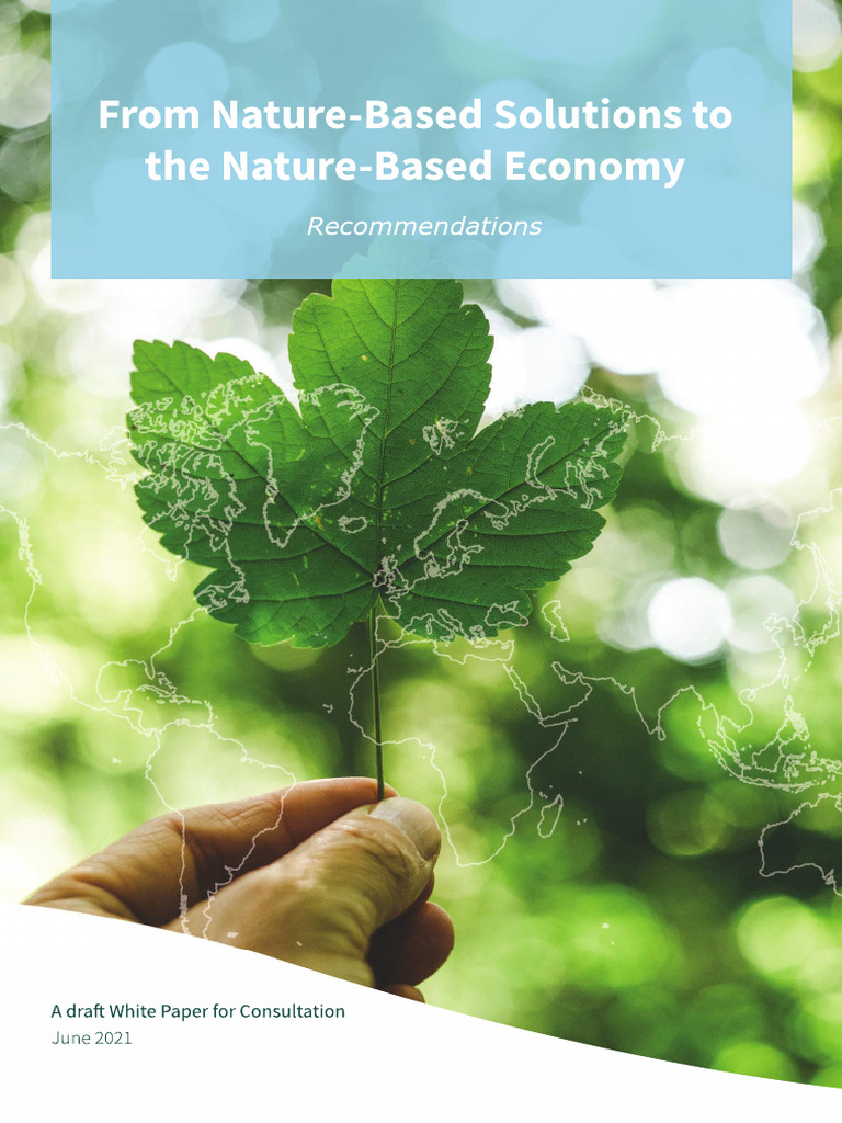 Nature-Based Economy Insights | PDF | Infrastructure | Economies