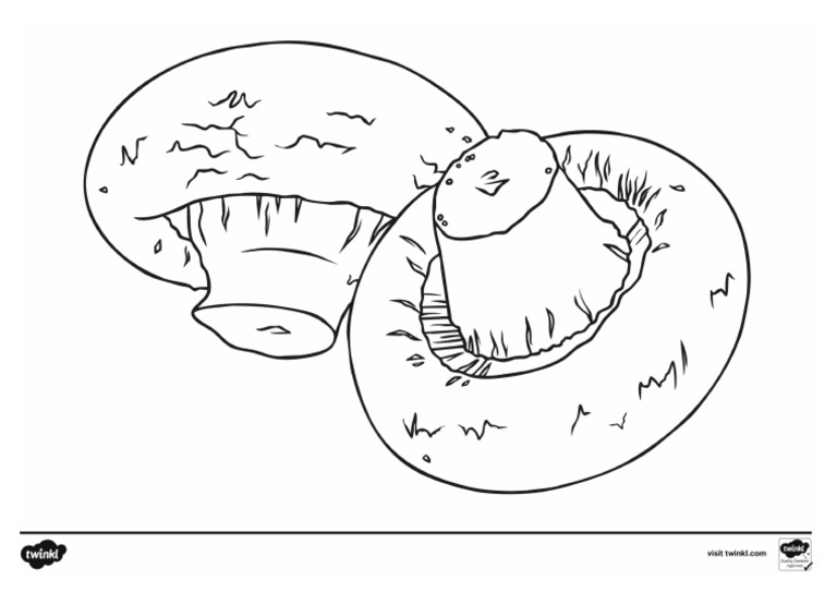 Mushroom Coloring | PDF