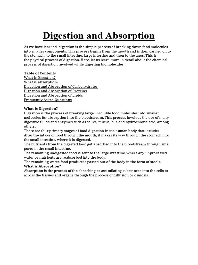 Digestion and Absorption of Macro Mollecules | PDF | Digestion | Stomach