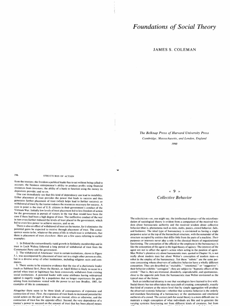 Foundations of Social Theory | PDF | Bureaucracy | Economic Equilibrium
