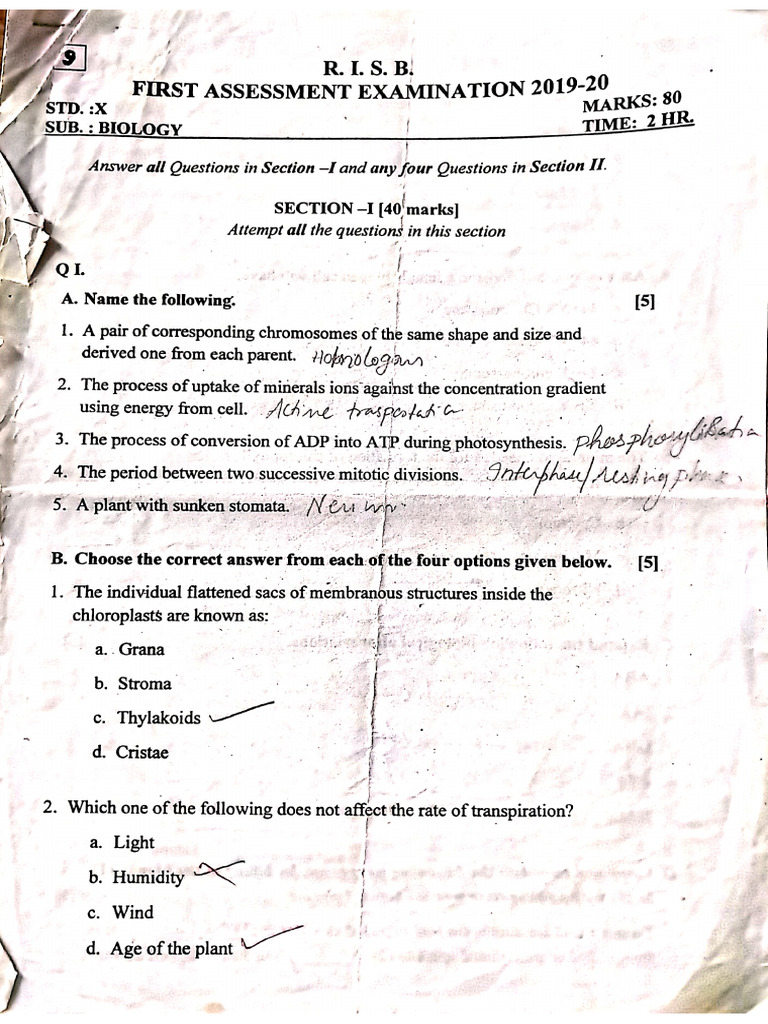 X Ist Term Model Paper | PDF