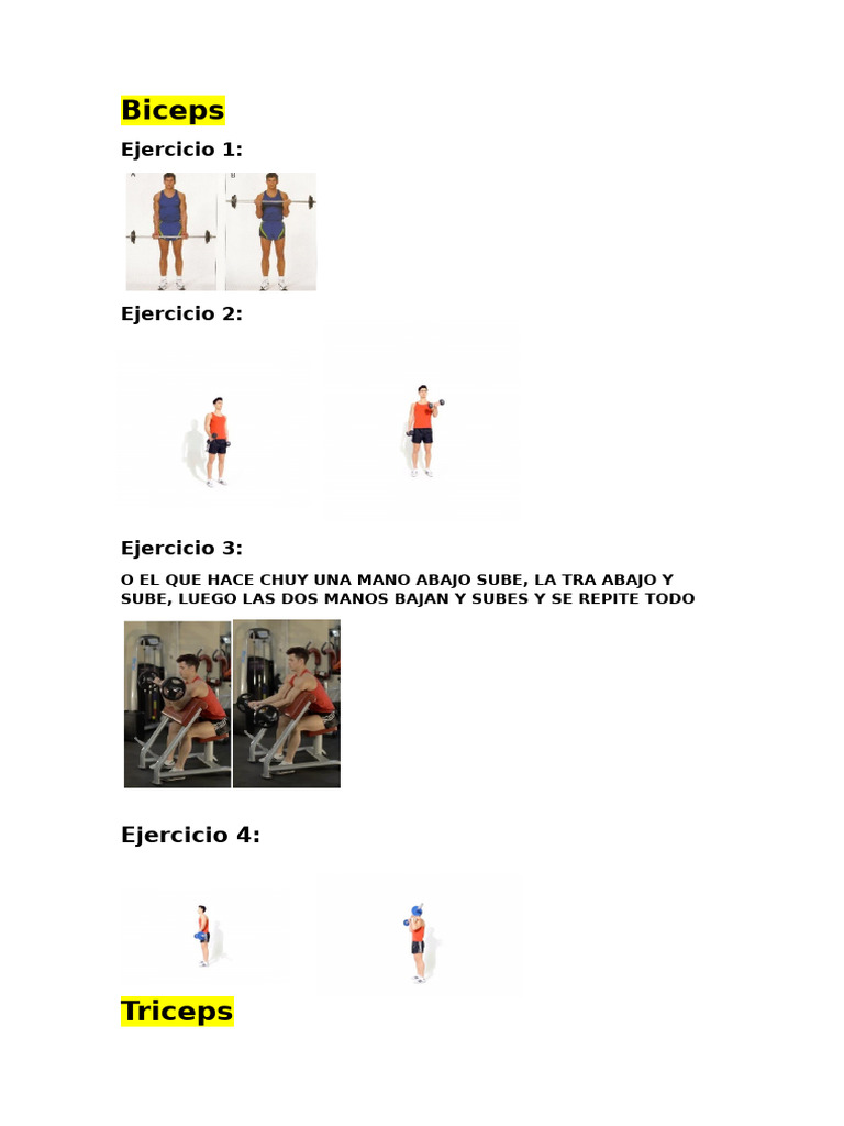 Rutina Biceps y Triceps | PDF