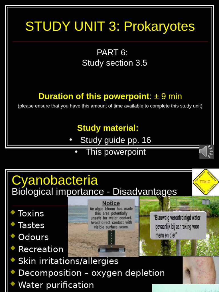 SU3 - Prokaryotes Part 6 - VO-1 | PDF