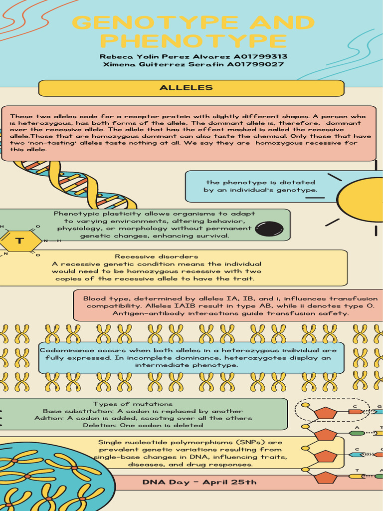 Genotype and Phenotype | PDF