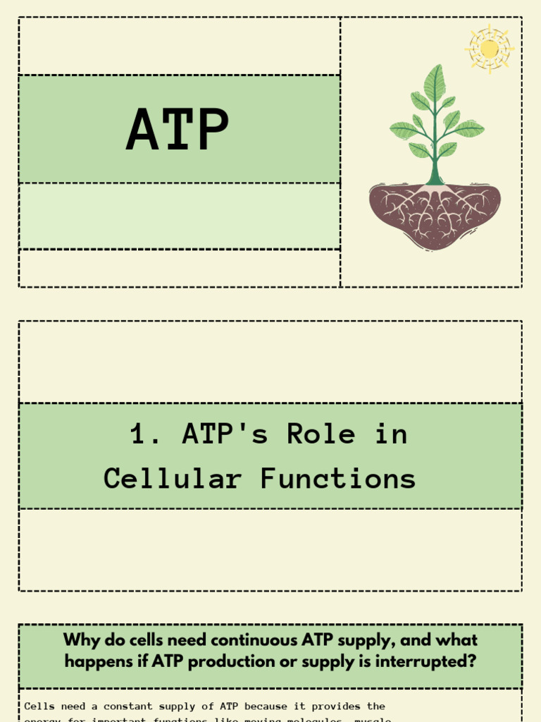 Role of ATP in The Body | PDF | Cellular Respiration | Adenosine ...