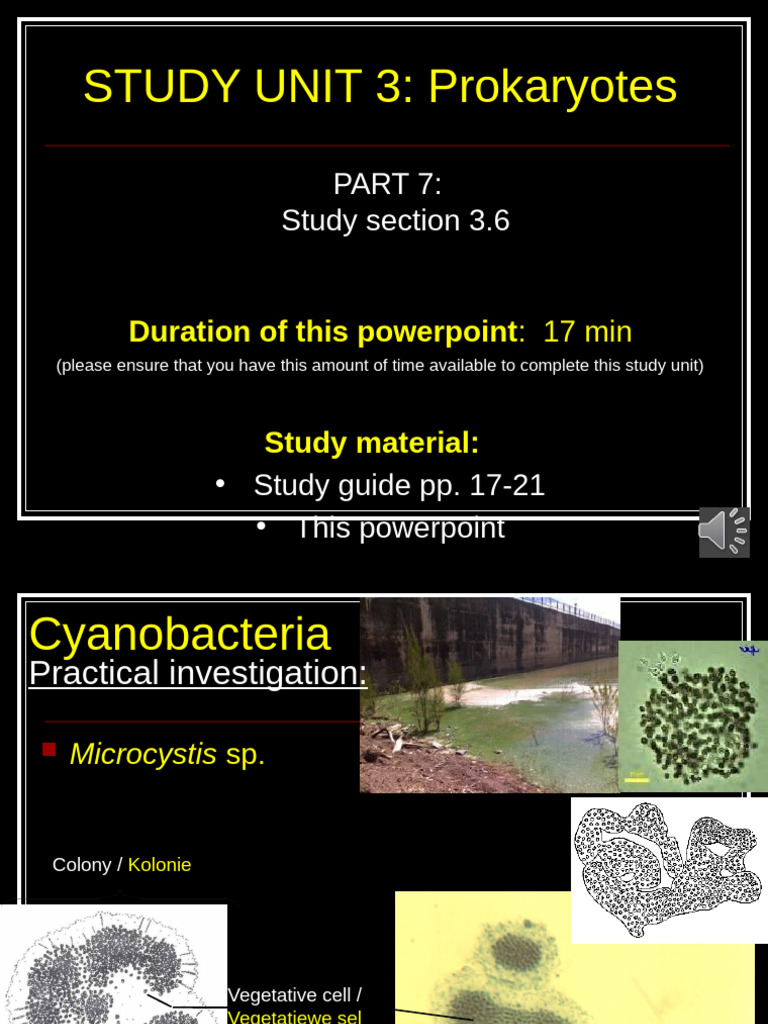 SU3 - Prokaryotes Part 7 - VO-1 | PDF | Cyanobacteria | Microorganism