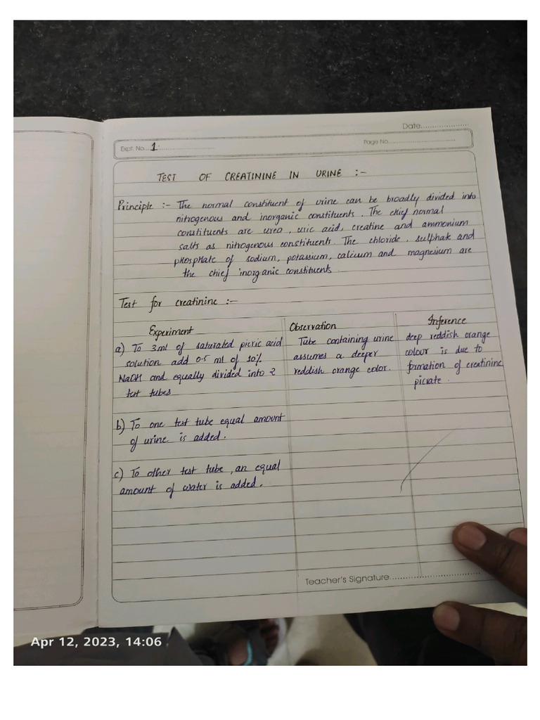 Biochemistry Pratical | PDF