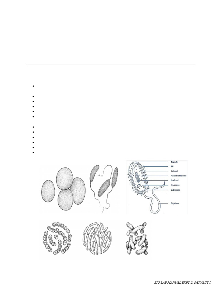 Plant Specimens Identification Guide | PDF | Cyanobacteria | Fern