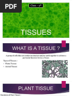 Padhle - Tissues - Class 9 Science Handwritten Notes | PDF