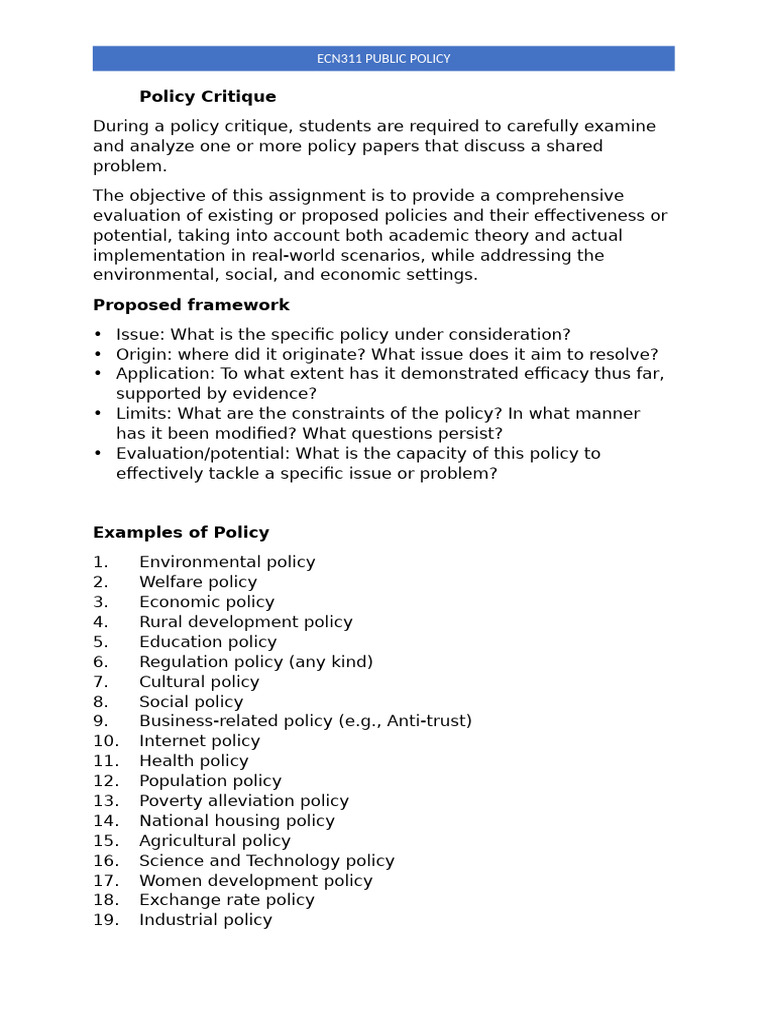 Policy Presentation - 125917 | PDF
