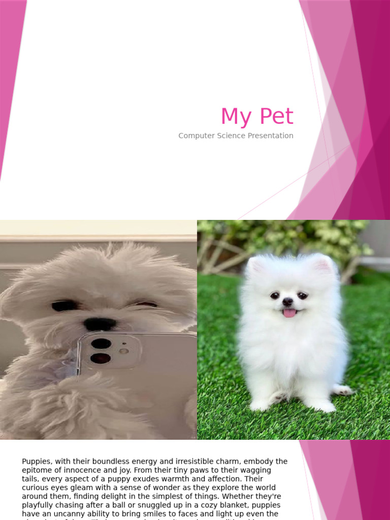 My Pet (Computer Presentation) | PDF