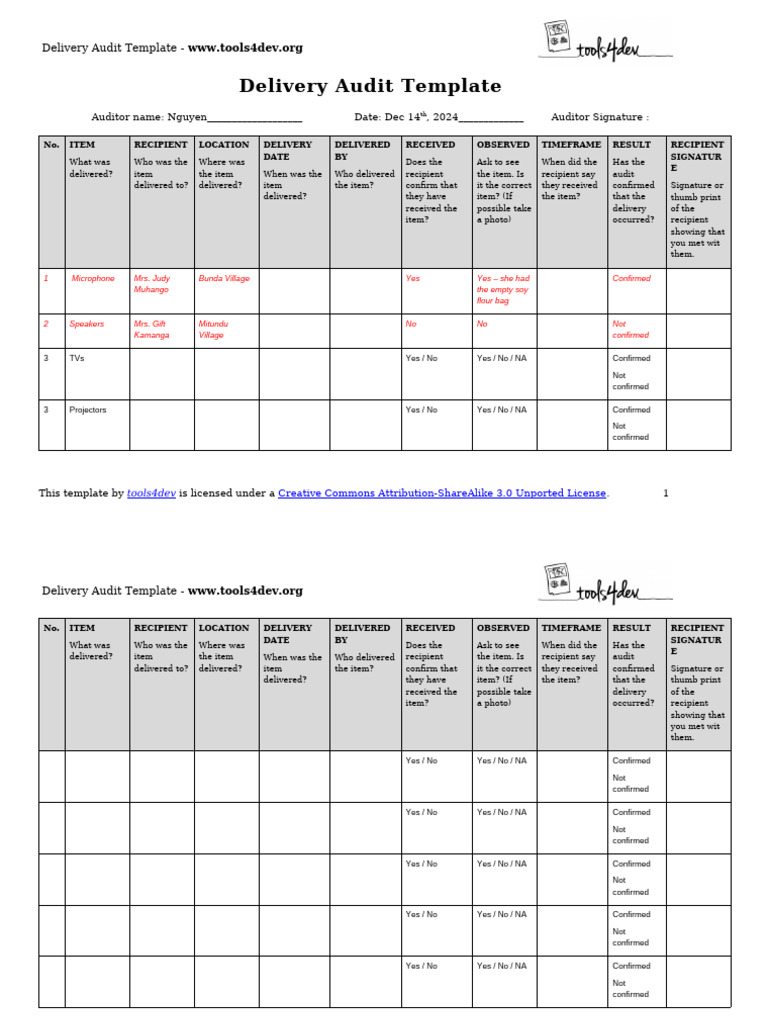 Delivery Audit Guide | PDF