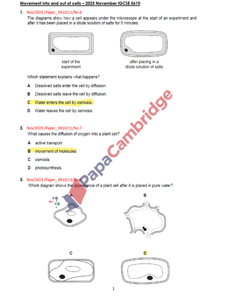 Cell Movement IGCSE 0610 November 2023 | PDF