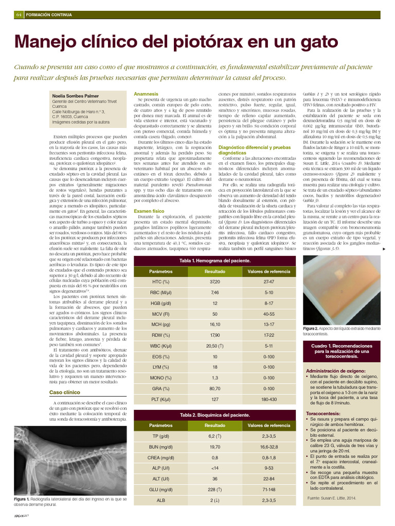 Palmer 2020 Clinical Management of Pyothorax in A Cat | PDF