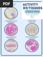 Tissues Drawing | PDF