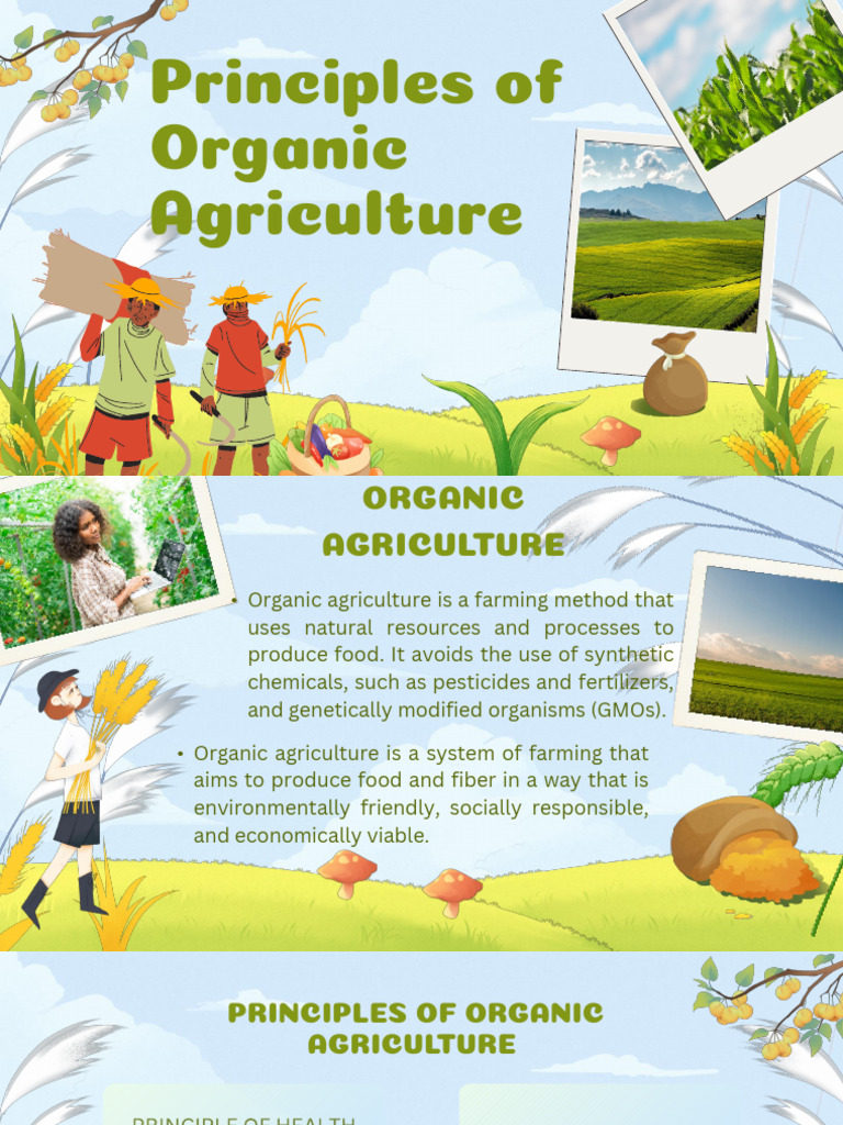GROUP-1-PRESENTATION-AGRI-2 | PDF | Organic Farming | Agriculture