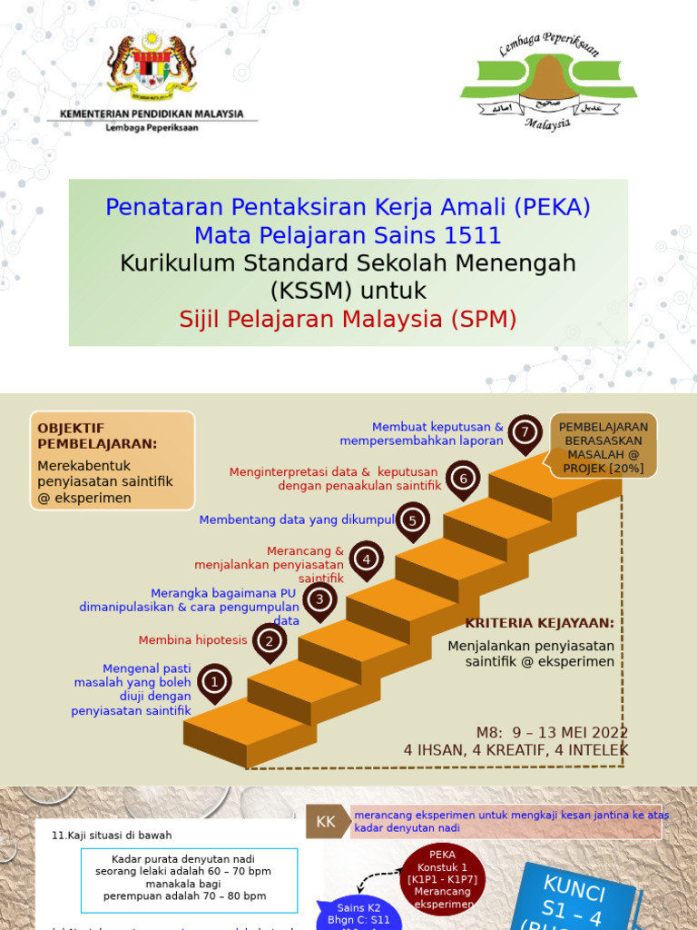 T4 PEKA 1 | PDF
