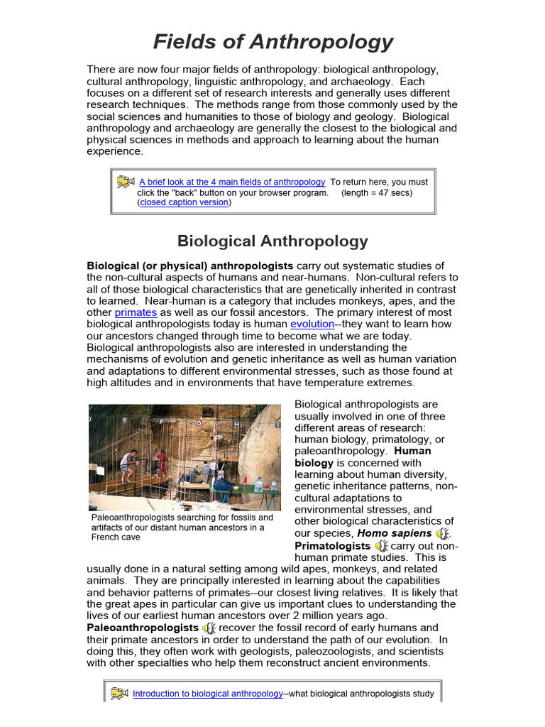 What Is Anthropology - Fields of Anthropology | PDF | Anthropology | Archaeology