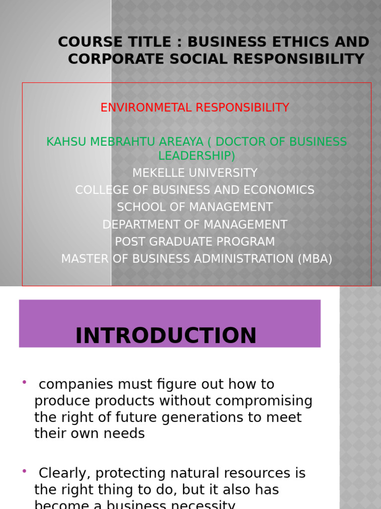 Business Ethics & Environmental Responsibility | PDF | Pollution ...
