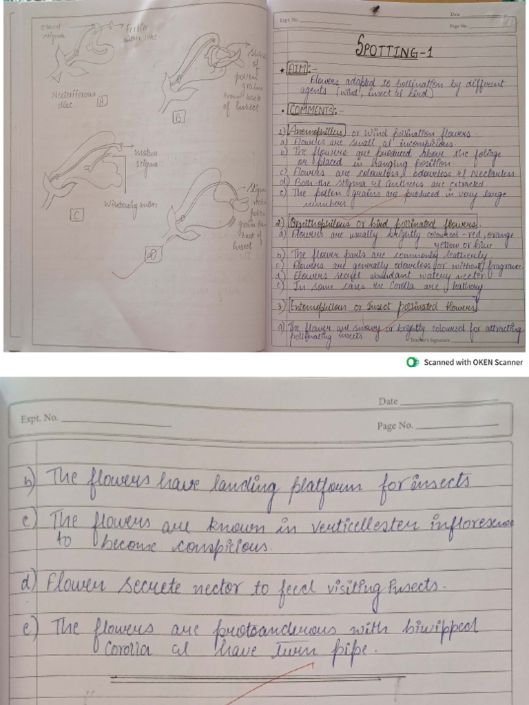 Biology Practical File B | PDF