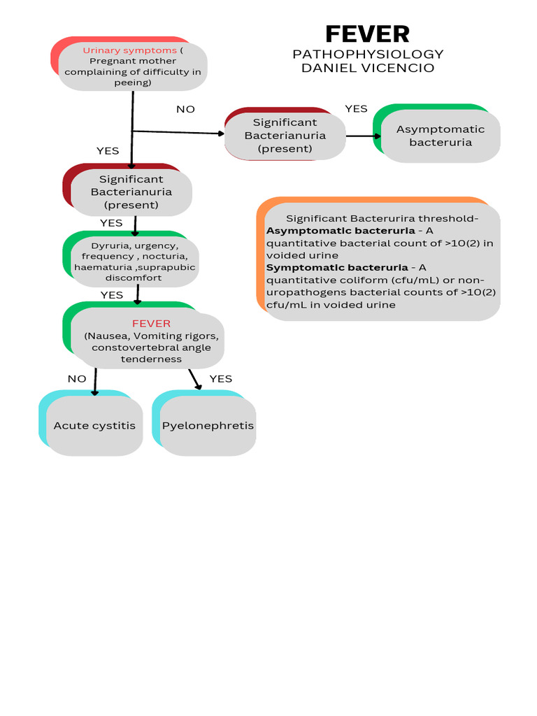 FEVER_20250212_094313_0000 | PDF