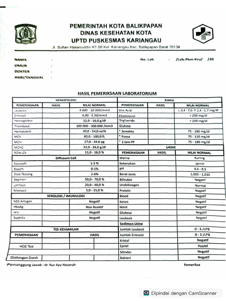kertas hasil lab | PDF