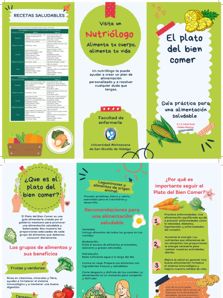 Tríptico Plato Del Bien Comer | PDF
