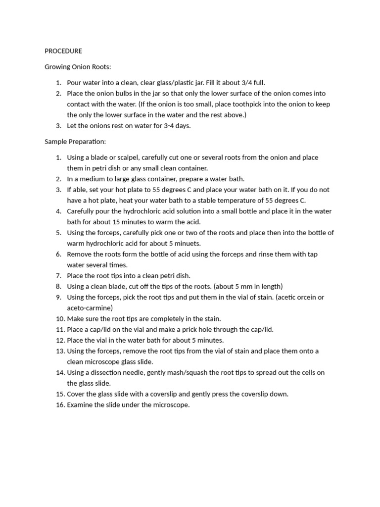 Onion Root Tip Activity | PDF