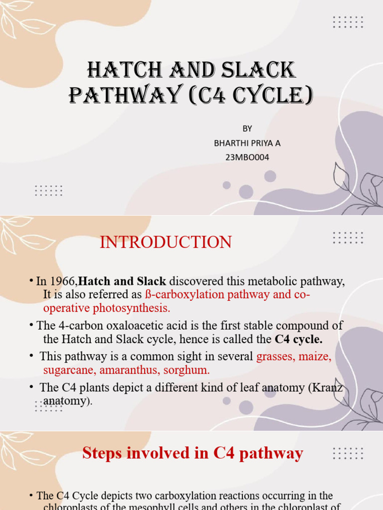Hatch and Slack Pathway Overview | PDF | Biochemistry | Chemistry