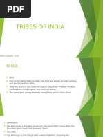 MP Tribes | PDF
