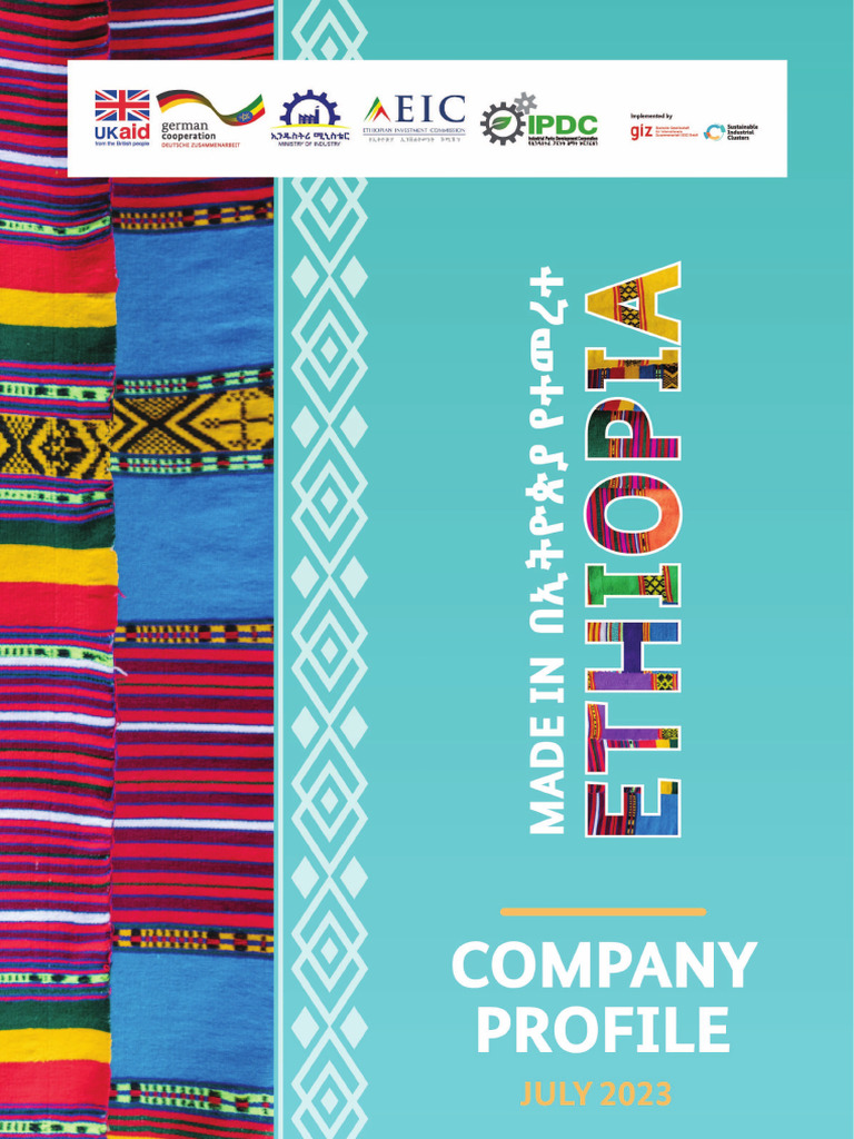 Ethiopia's Textile Industry Overview | PDF | Clothing